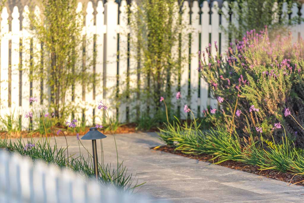 Cremorne 1 - Lone Pine Landscapes, Sydney NSW